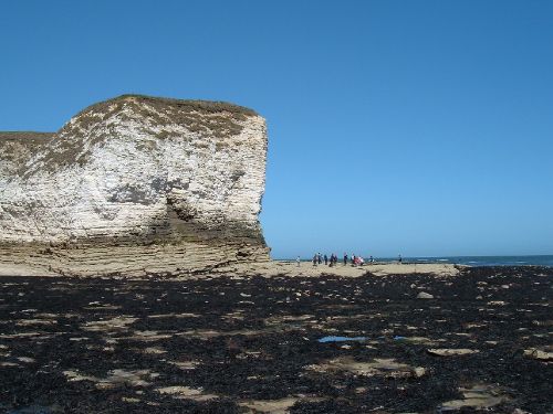 Geology • Yorkshire Marine Nature Partnership • YMNP