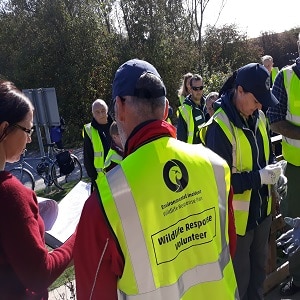 EIWR Volunteer Resources • Yorkshire Marine Nature Partnership • YMNP
